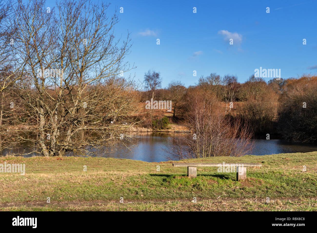 Reflections on Ditchling Common Stock Photo - Alamy