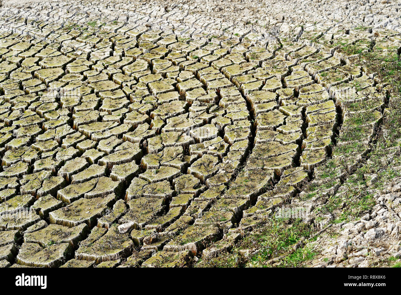 Bone dry soil hi-res stock photography and images - Alamy