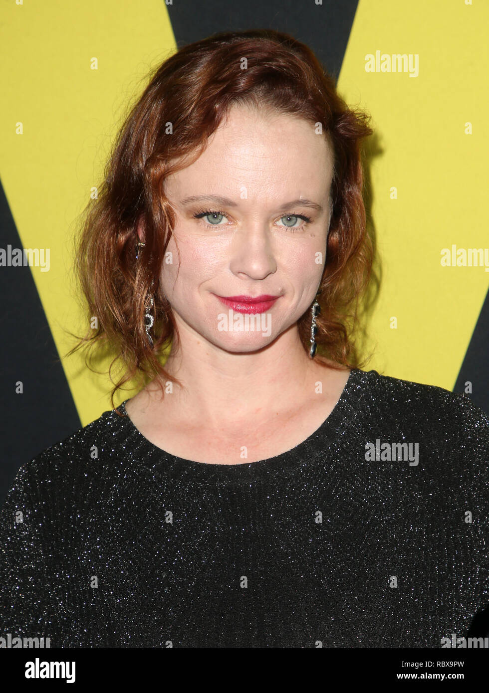 'VICE' World Premiere in Los Angeles held at the Academy of Motion ...