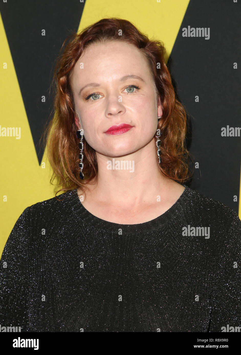 'VICE' World Premiere in Los Angeles held at the Academy of Motion ...