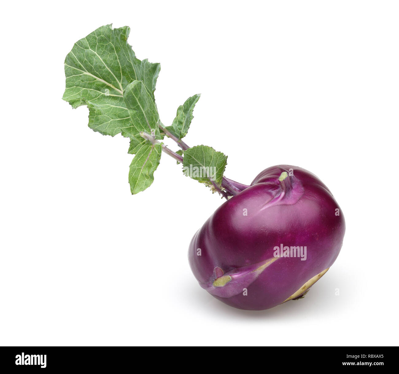 Purple kohlrabi with leaves isolated on white background Stock Photo ...
