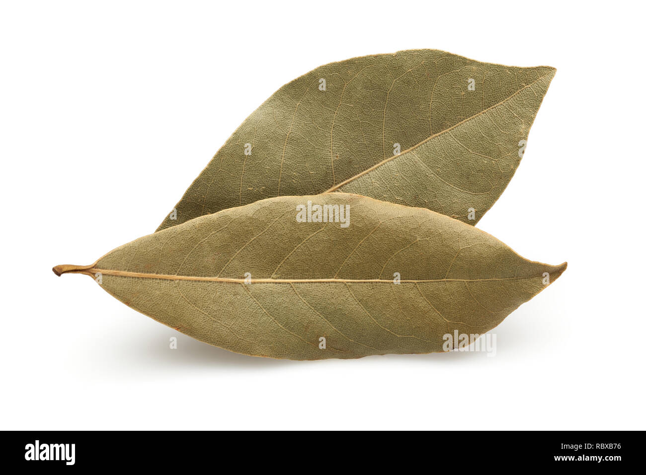Dried laurel leaves isolated on white background Stock Photo - Alamy