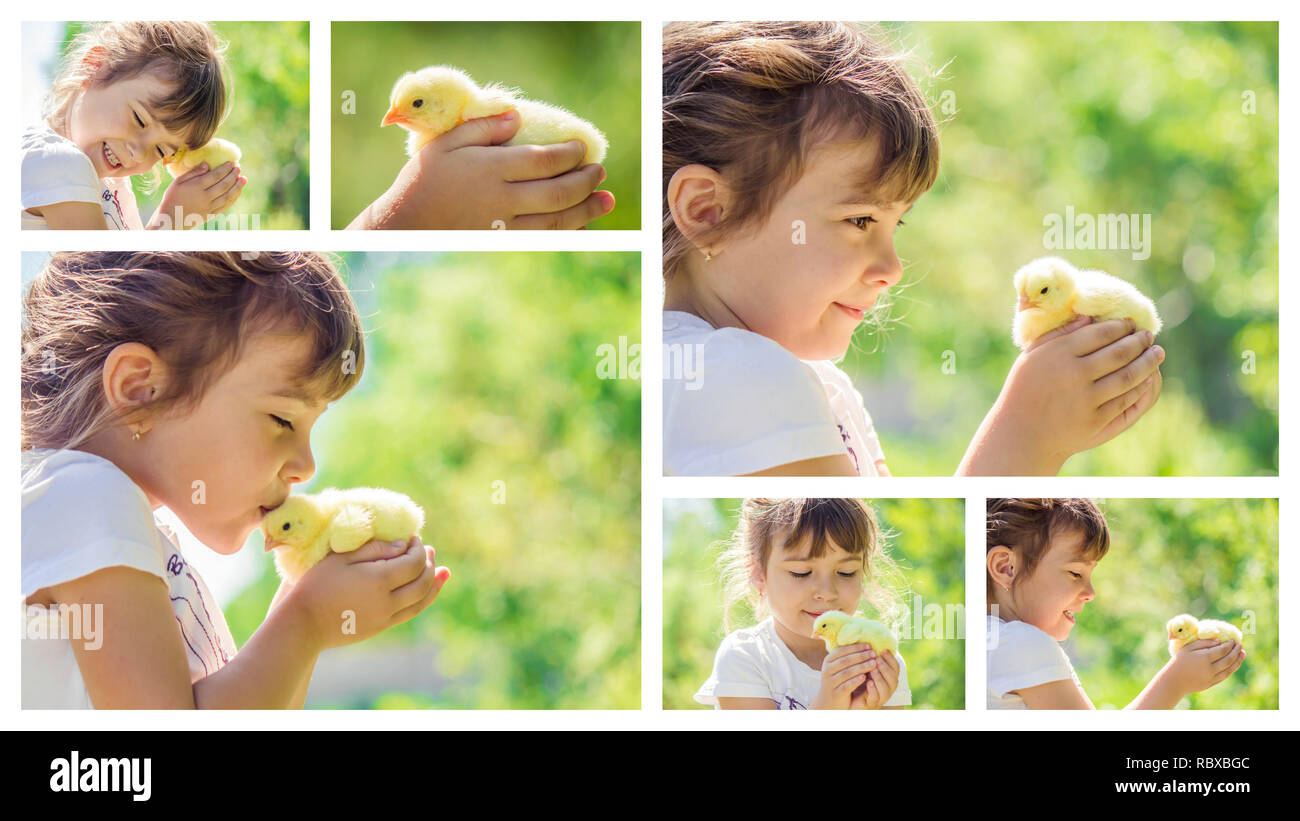 Child holds chicken hi-res stock photography and images - Alamy