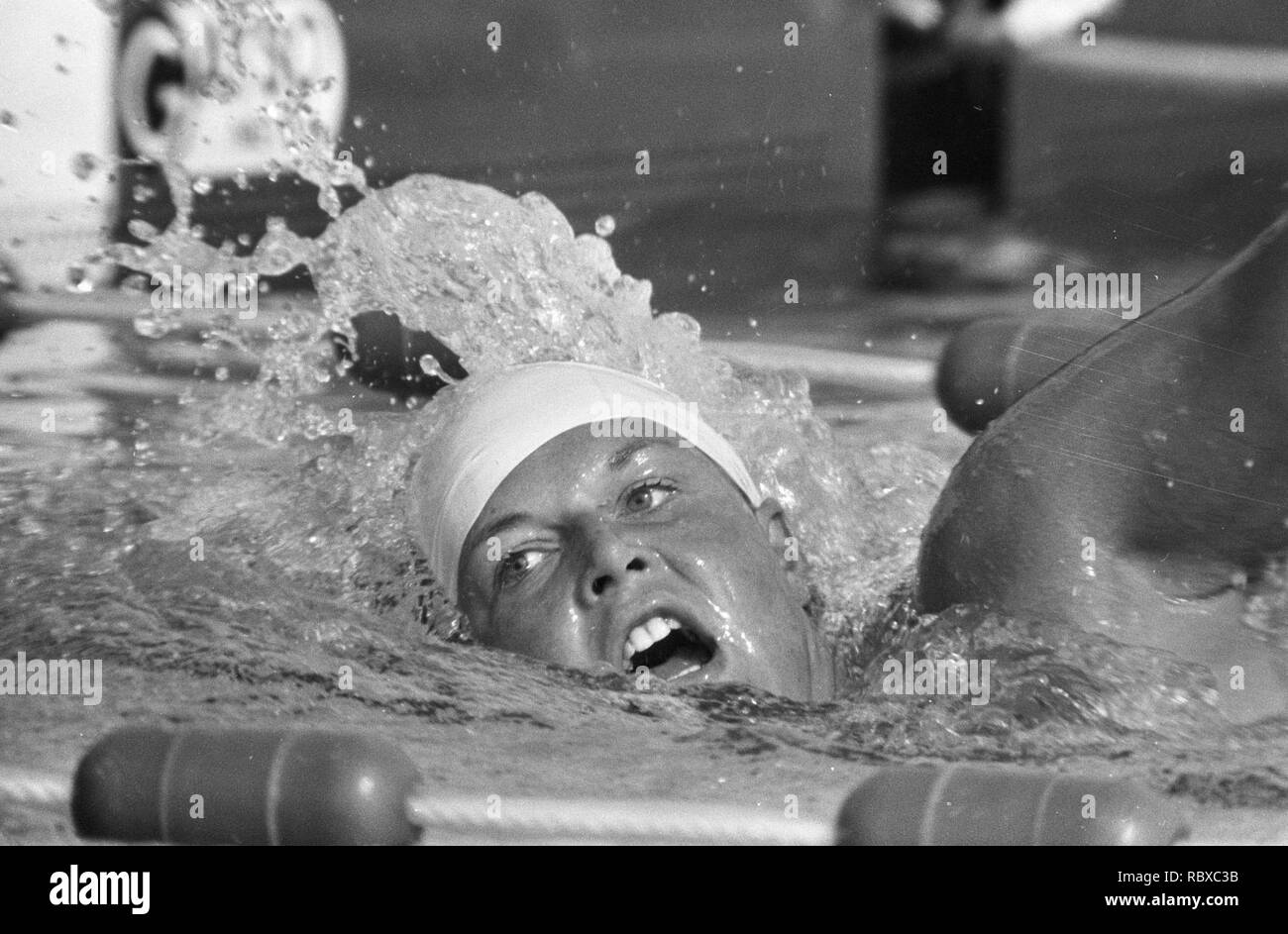 Ada kok hi-res stock photography and images - Alamy