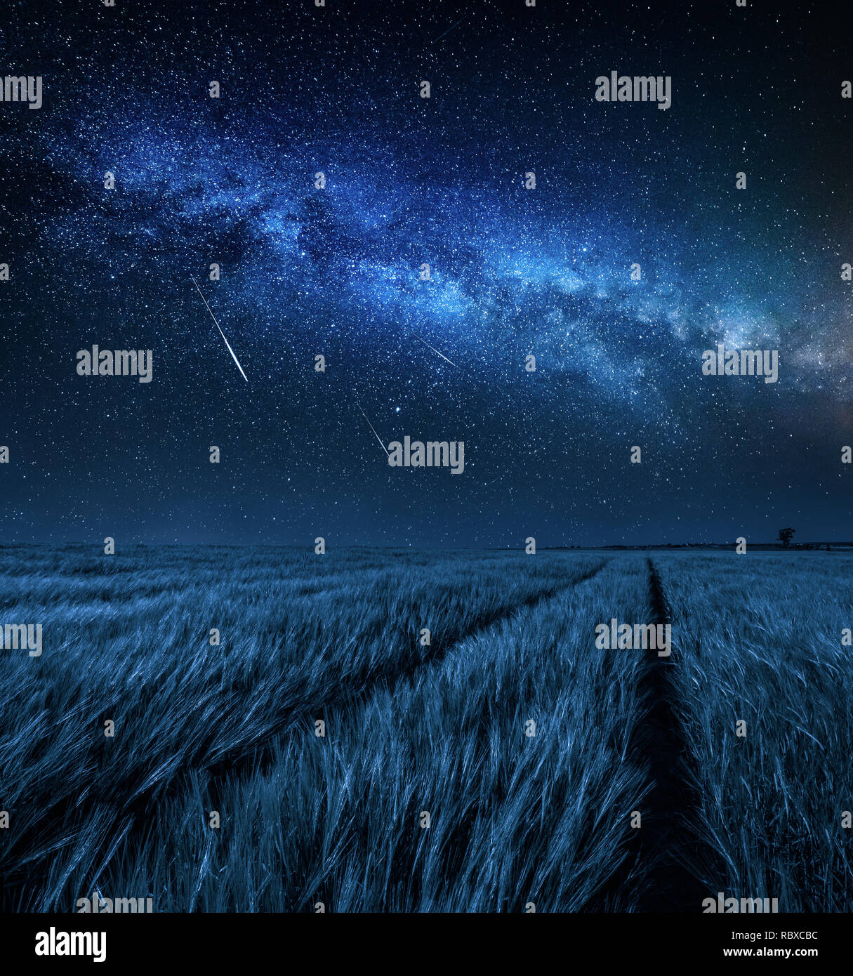 Big and blue milky way over field at night Stock Photo - Alamy