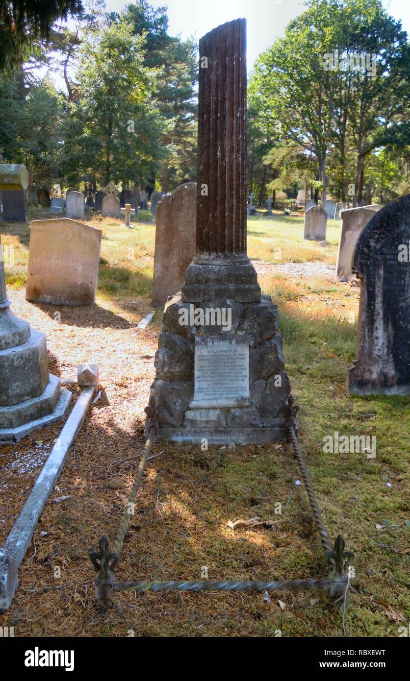 Williamson thomas hi-res stock photography and images - Alamy