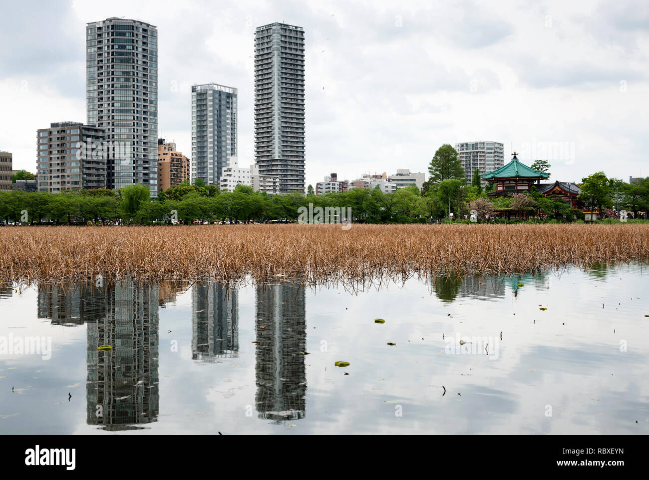 High-rise apartments above Shinobazu Pond and Benten-dō Temple, Ueno ...