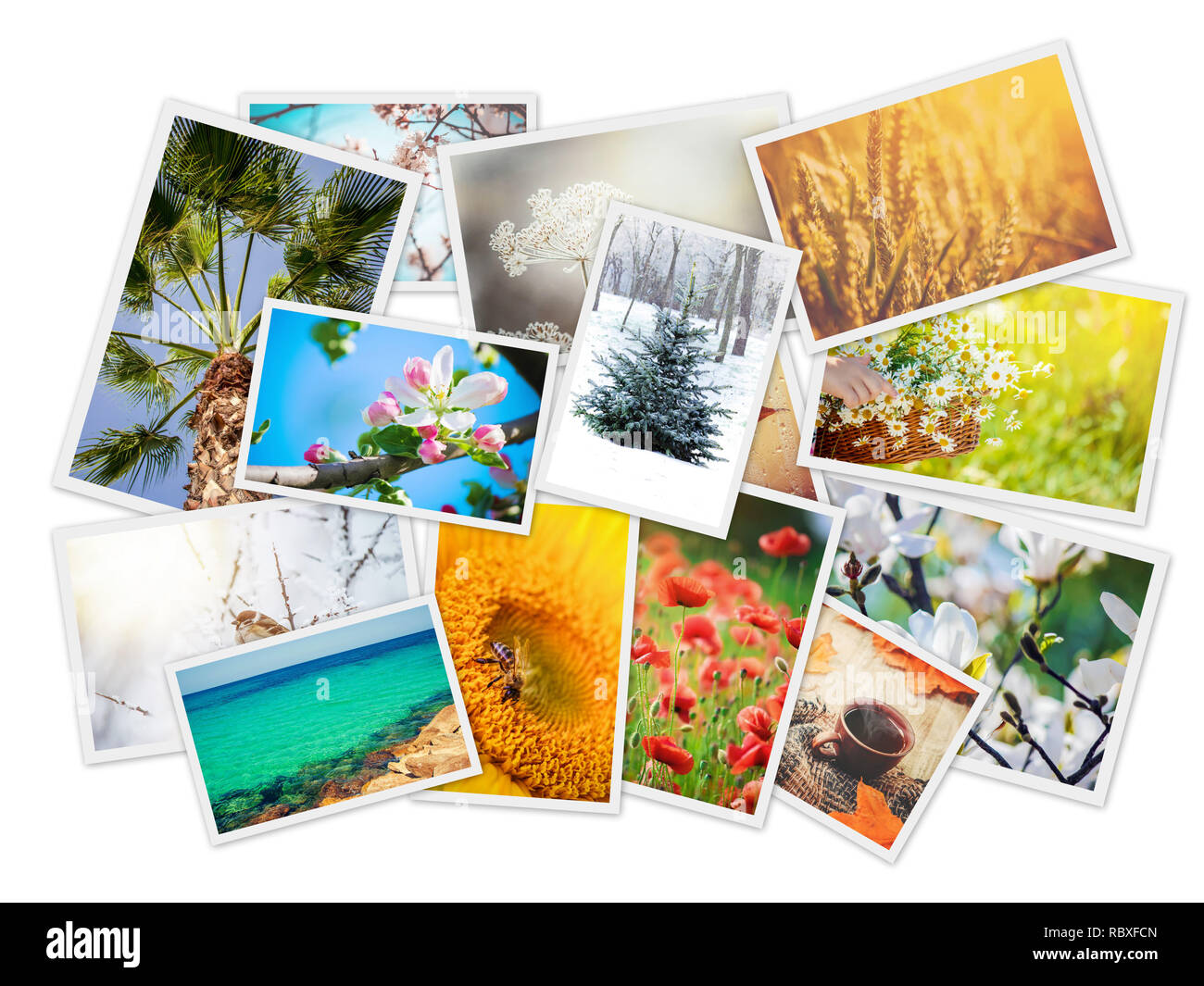 A collage of photographs is the seasons. Selective focus Stock Photo ...