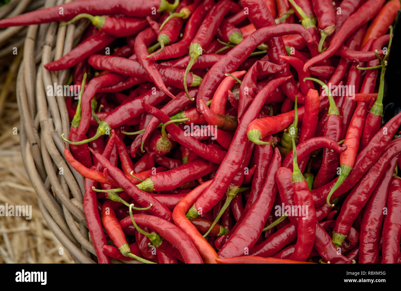 Red chillis at organic farmers market Stock Photo - Alamy