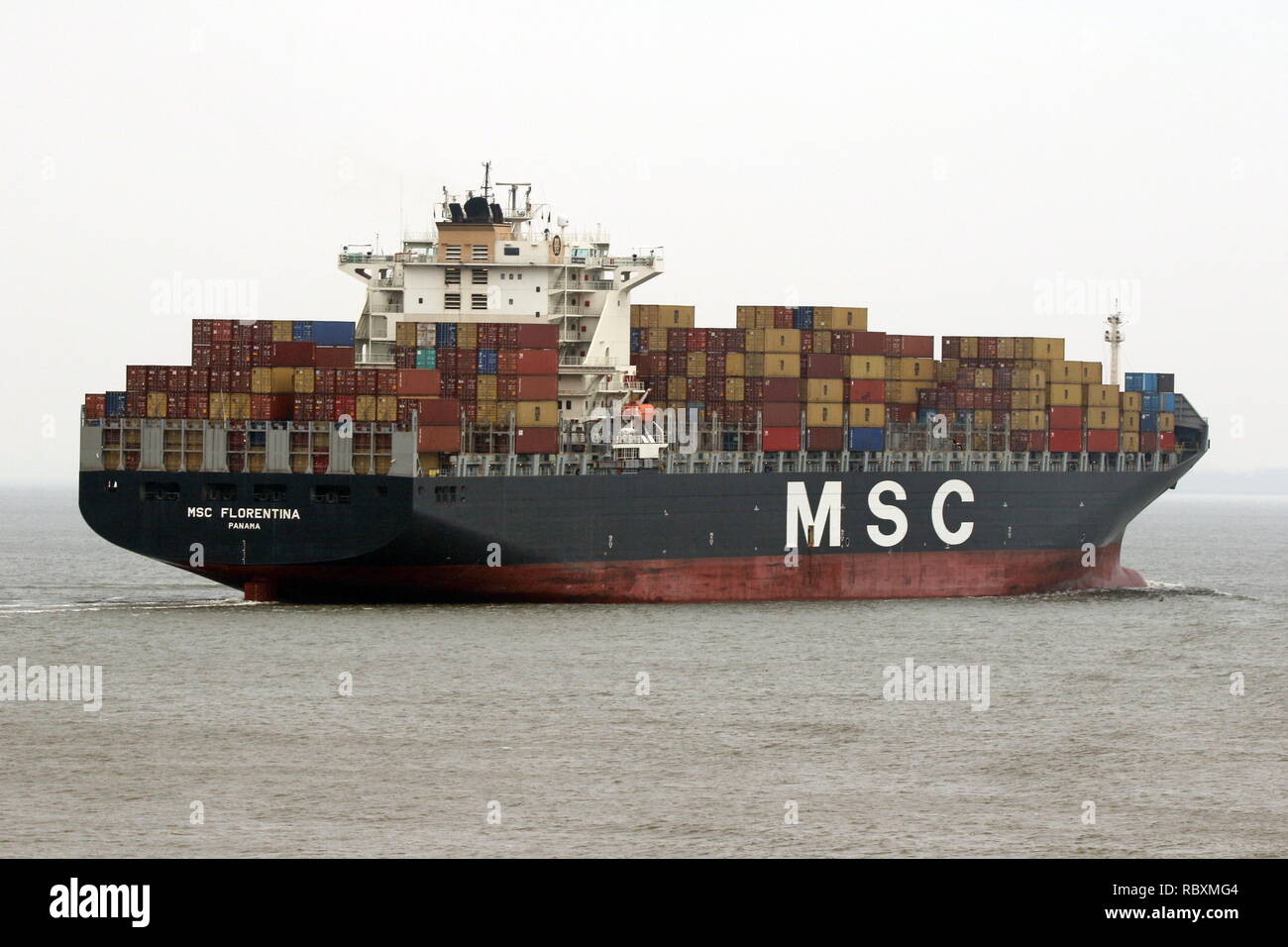 Msc florentina hi-res stock photography and images - Alamy