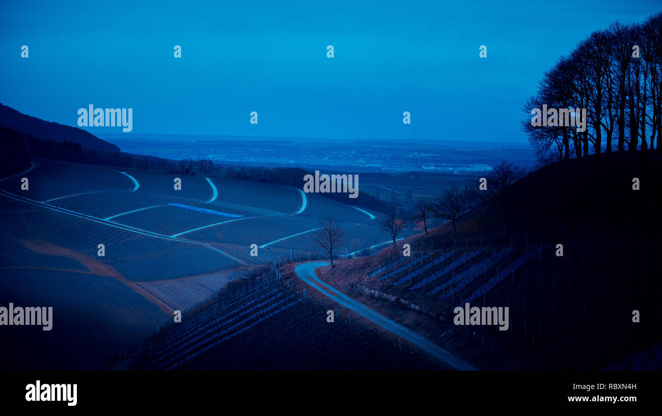 Vineyard and lane hi-res stock photography and images - Alamy