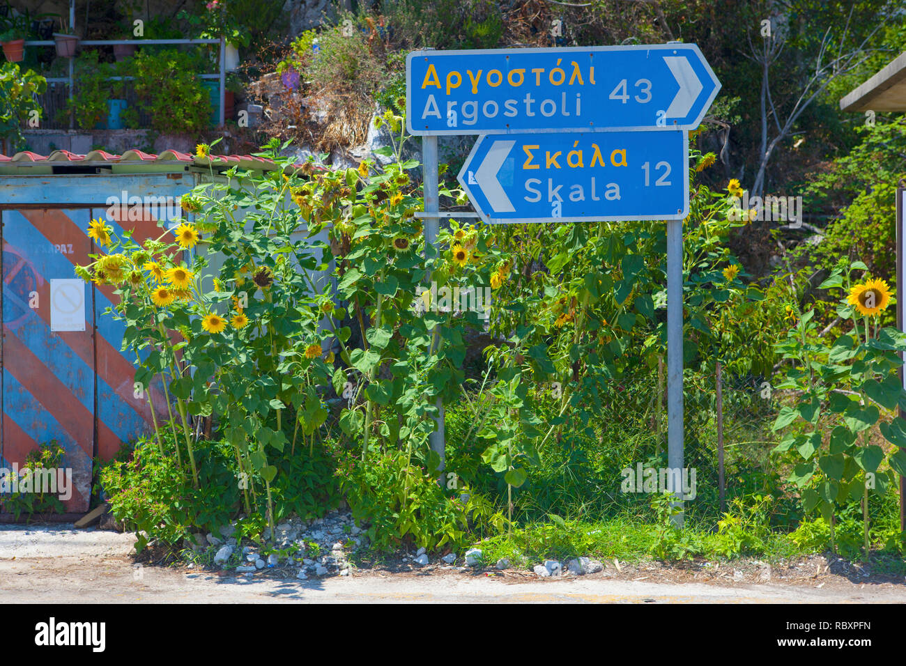 Greek sunflowers hi-res stock photography and images - Alamy