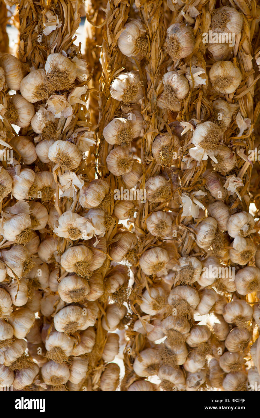 Garlic rope hi-res stock photography and images - Alamy