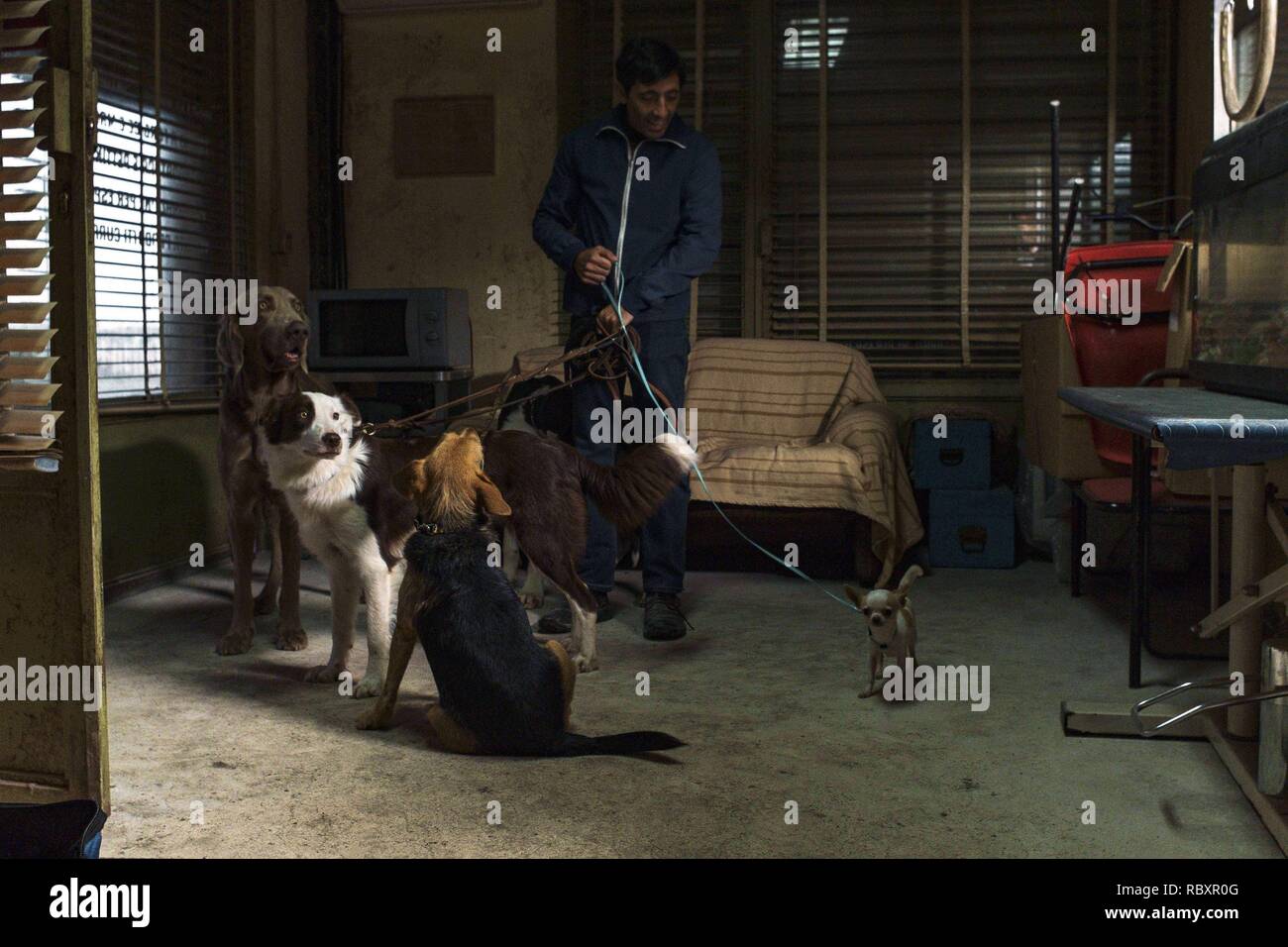 Original film title: DOGMAN. English title: DOGMAN. Year: 2018 ...