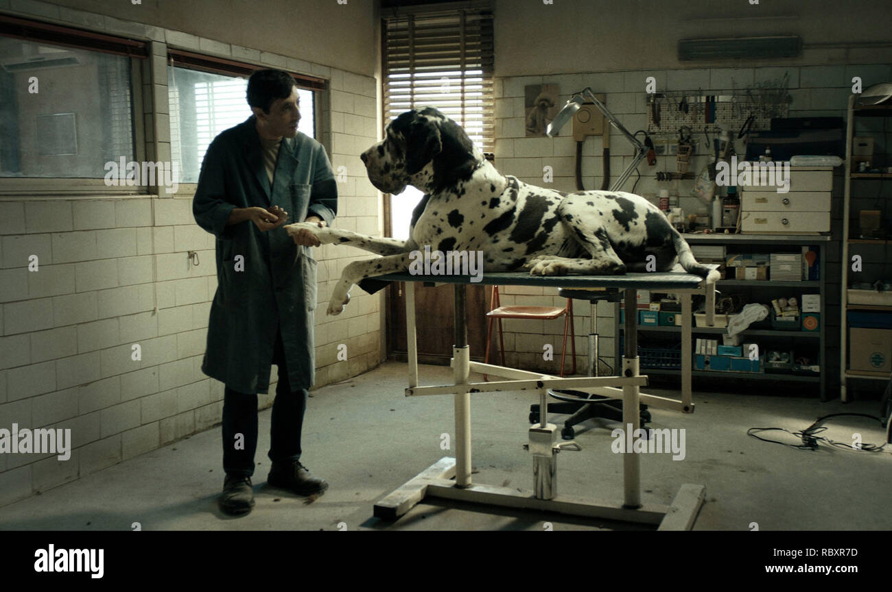 Dogoman breed of dog hi-res stock photography and images - Alamy