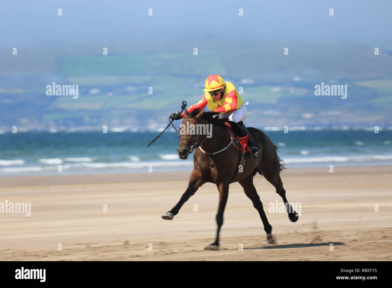 Ireland horse horses wild atlantic way hi-res stock photography and ...