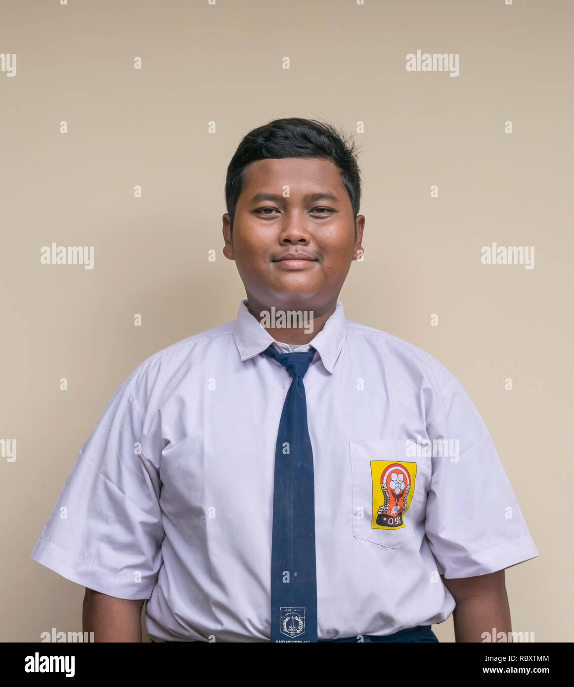 2.2A, 2.2B, 2.2C, 2.2D, Voting Card, IndonesianBook Stock Photo - Alamy