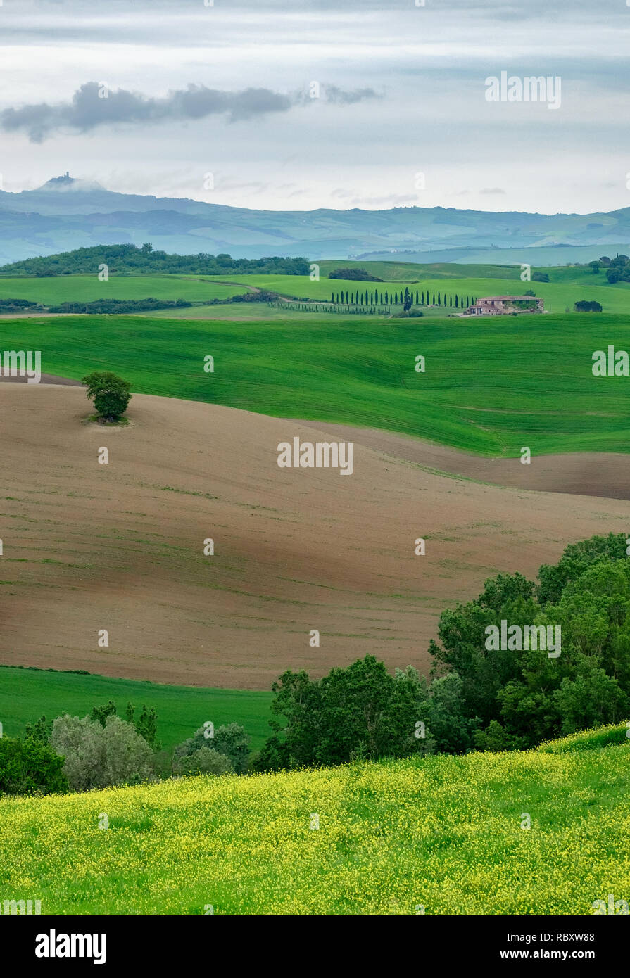 Green italy hi-res stock photography and images - Alamy