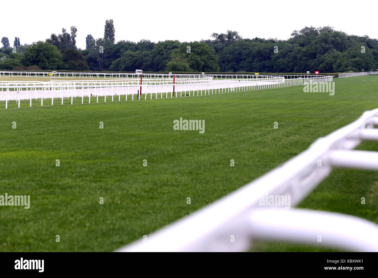 Treated green grass ready for gallop racing on the racing weekend Stock ...