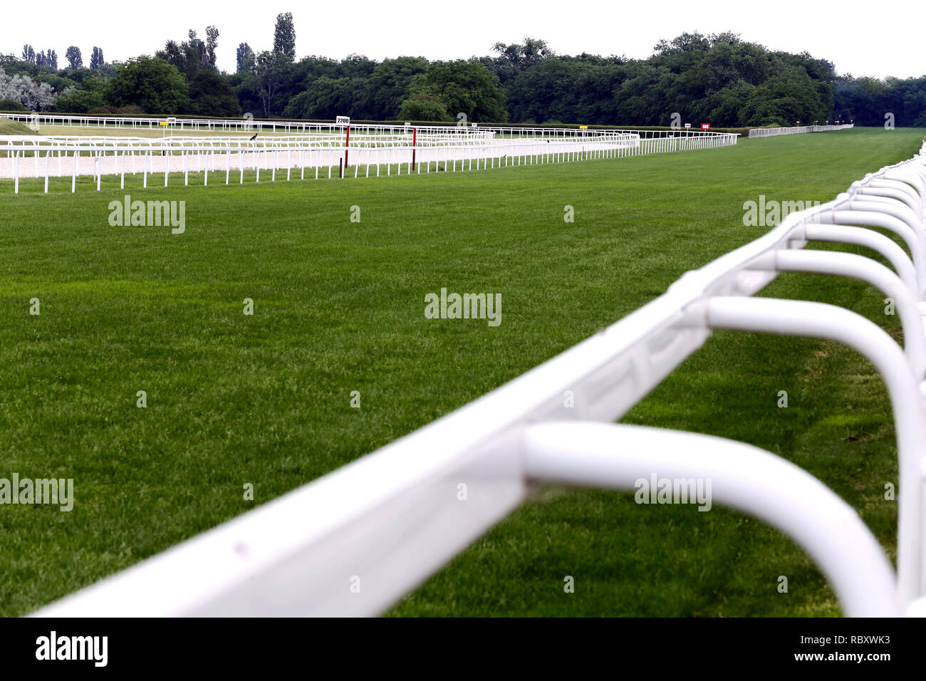 Empty racing track racecourse without horses and riders Stock Photo - Alamy
