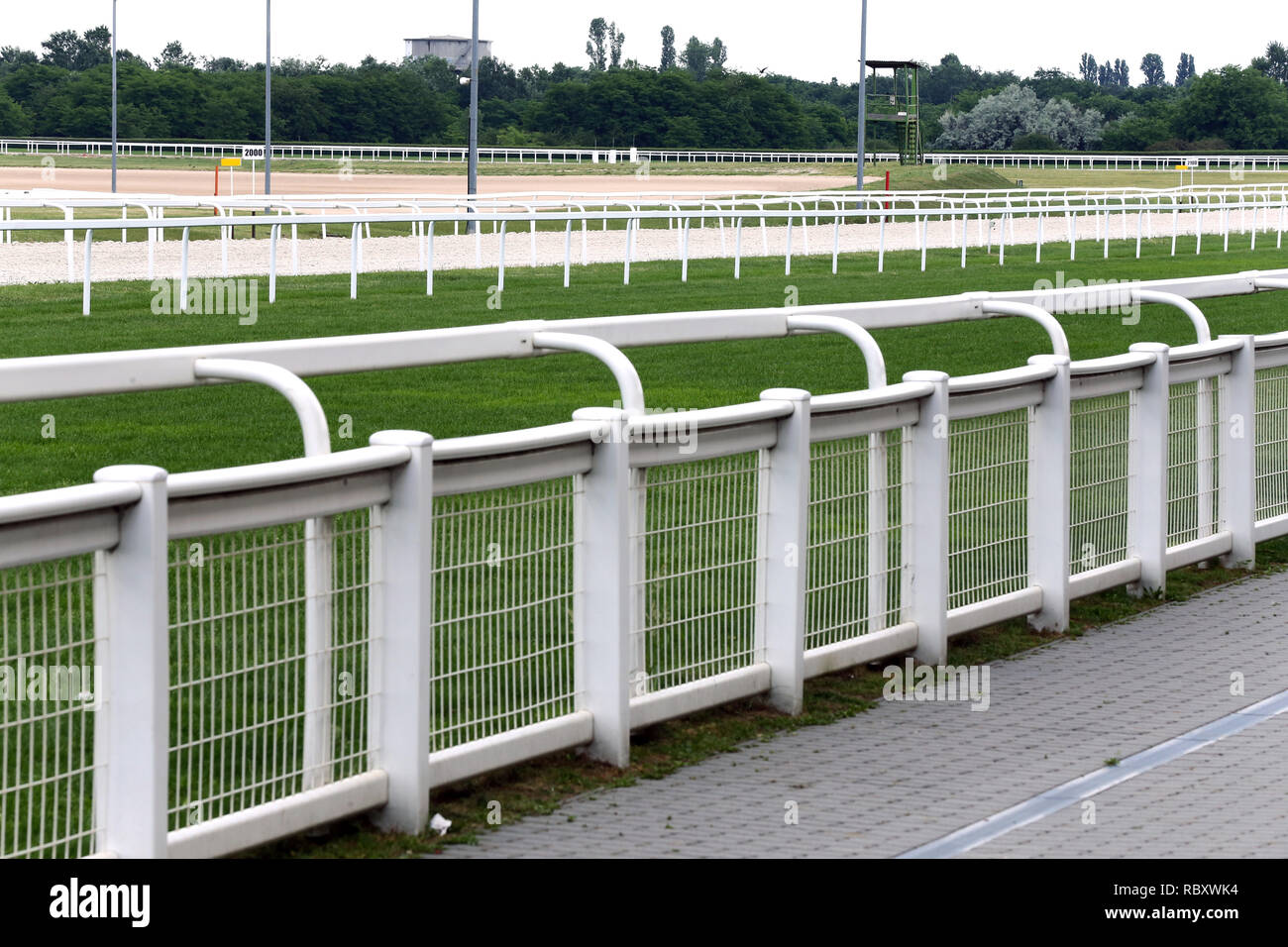 Empty racing track racecourse without horses and riders Stock Photo - Alamy