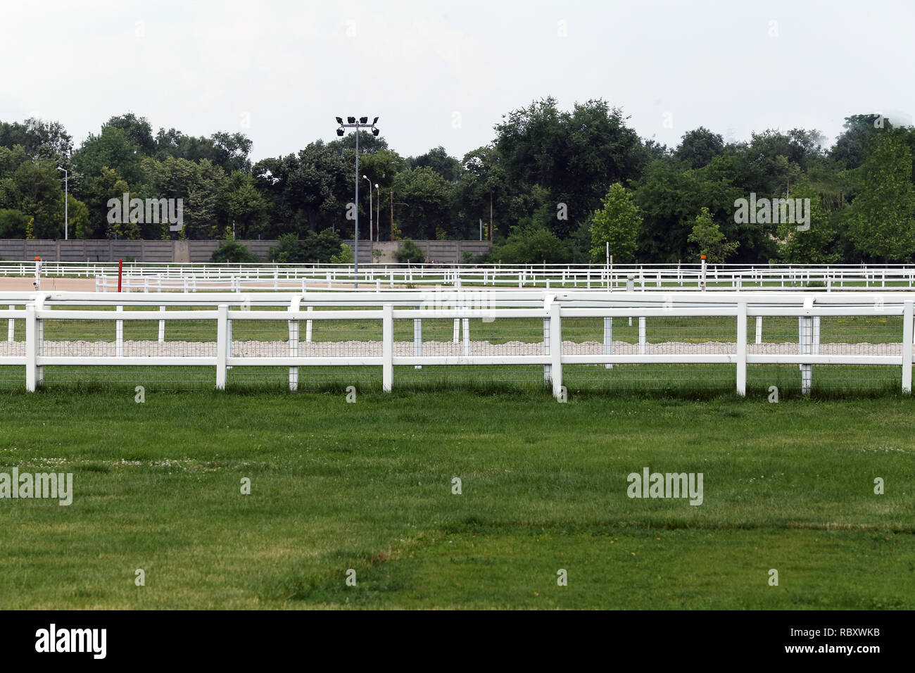 Empty racing track racecourse without horses and riders Stock Photo - Alamy