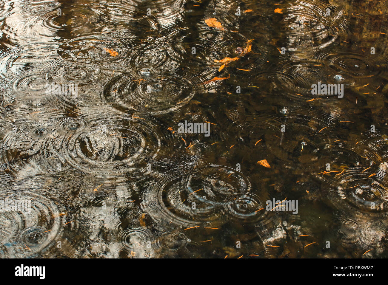 Rain drops rippling in a puddle Stock Photo - Alamy