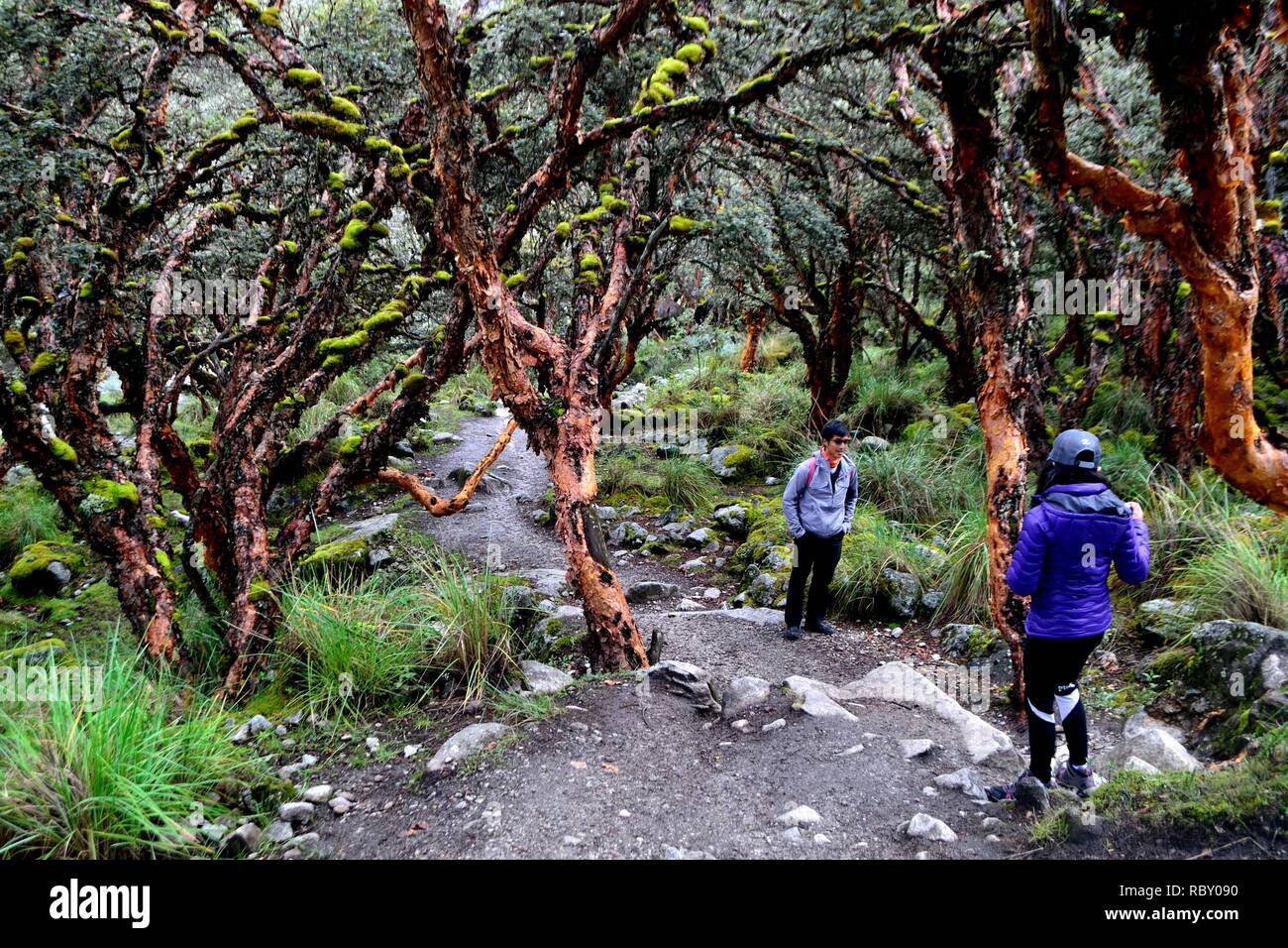 Trekking to the 69 lagoon - National park HUASCARAN. Department of ...