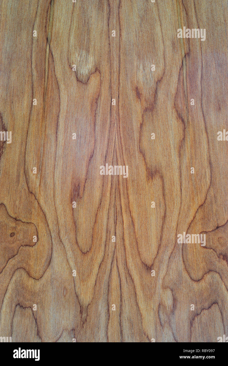 Texture of mat wood ribs, violin making, guitar back in close up Stock ...
