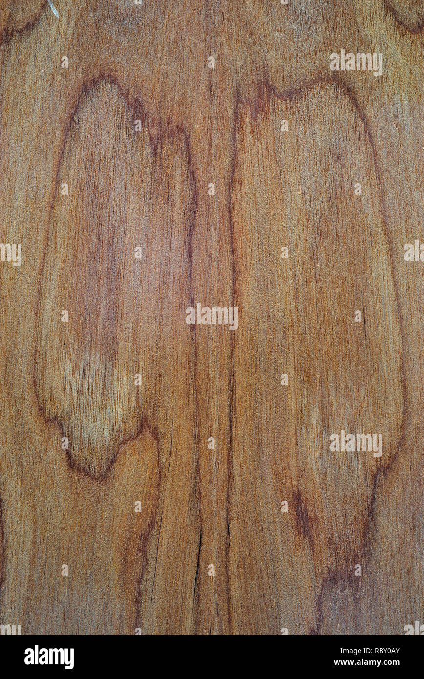 Texture of mat wood ribs, violin making, guitar back in close up Stock ...