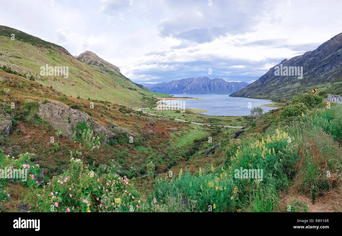 Lake Hawea, New Zealand, South Island, NZ Stock Photo - Alamy
