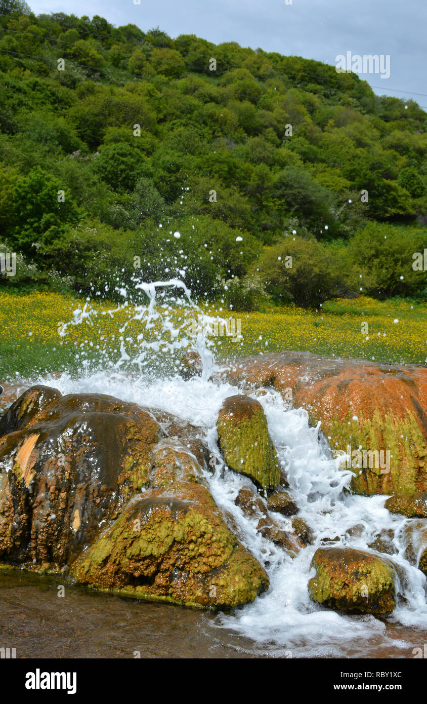 Geyser eruption in a sunny day, Natural colors of a geyser Stock Photo ...