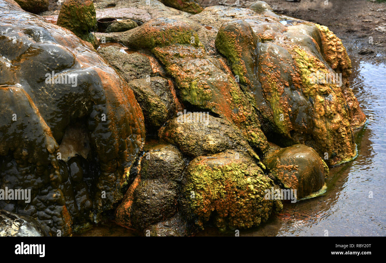 Geyser eruption in a sunny day, Natural colors of a geyser Stock Photo ...