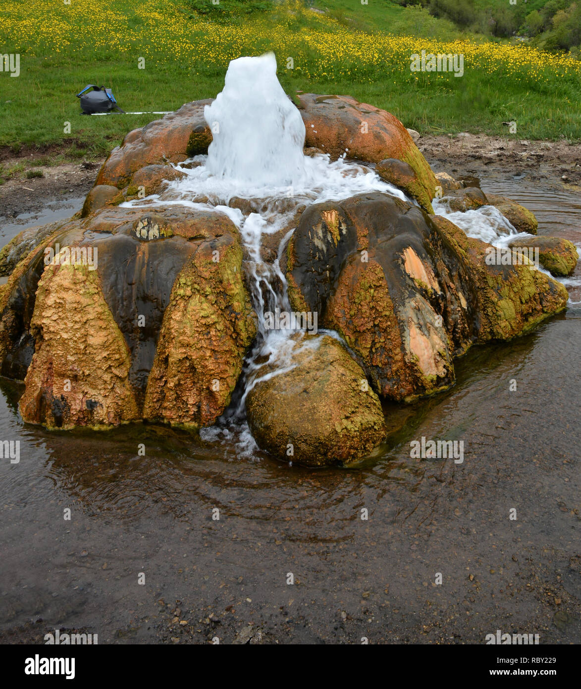 Geyser eruption in a sunny day, Natural colors of a geyser Stock Photo ...