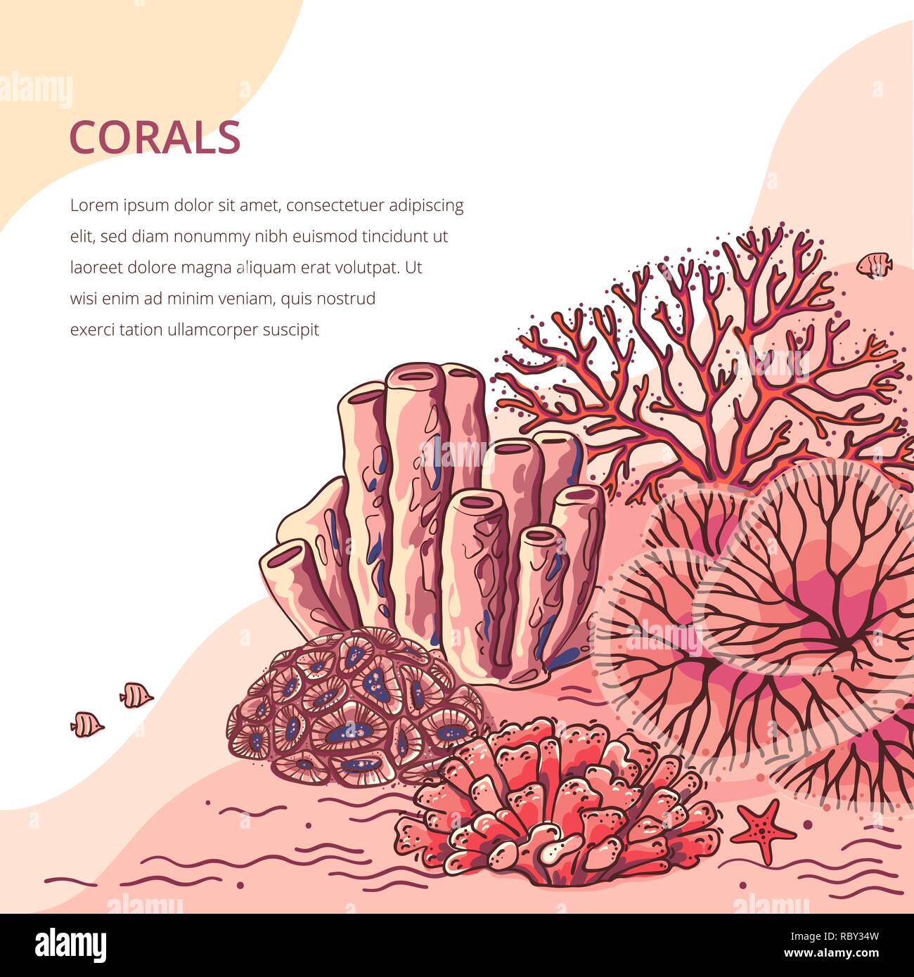 Beautiful coral card for print Stock Vector Image & Art - Alamy