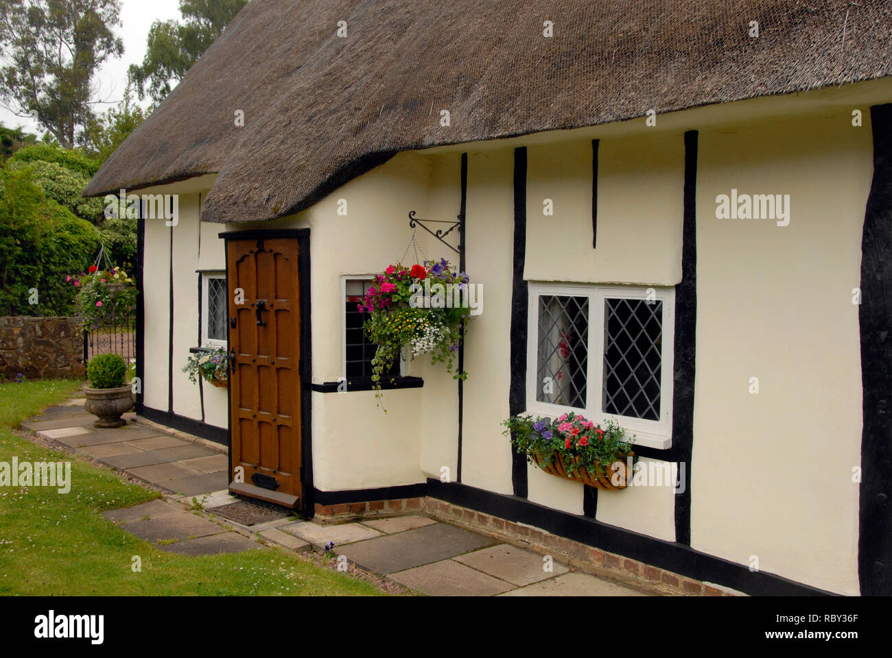Half timbered thatched cottage hi-res stock photography and images - Alamy