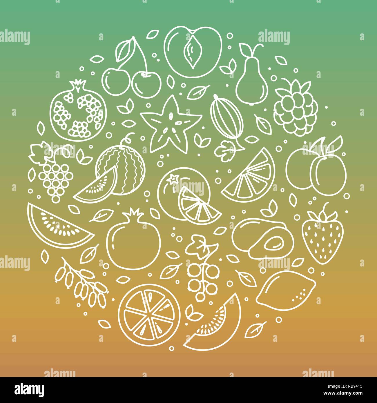 Circle fruit set Stock Vector Image & Art - Alamy