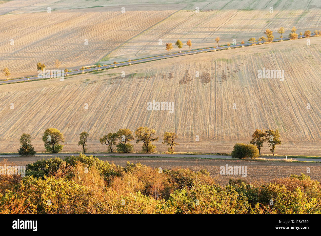 Two streets with rows of trees in autumn colors, in between an empty ...