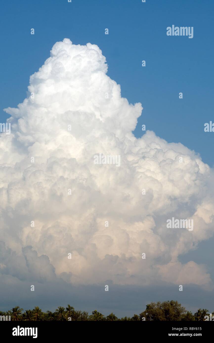 Blue sky colorful landscape with white morning sky clouds lit by ...