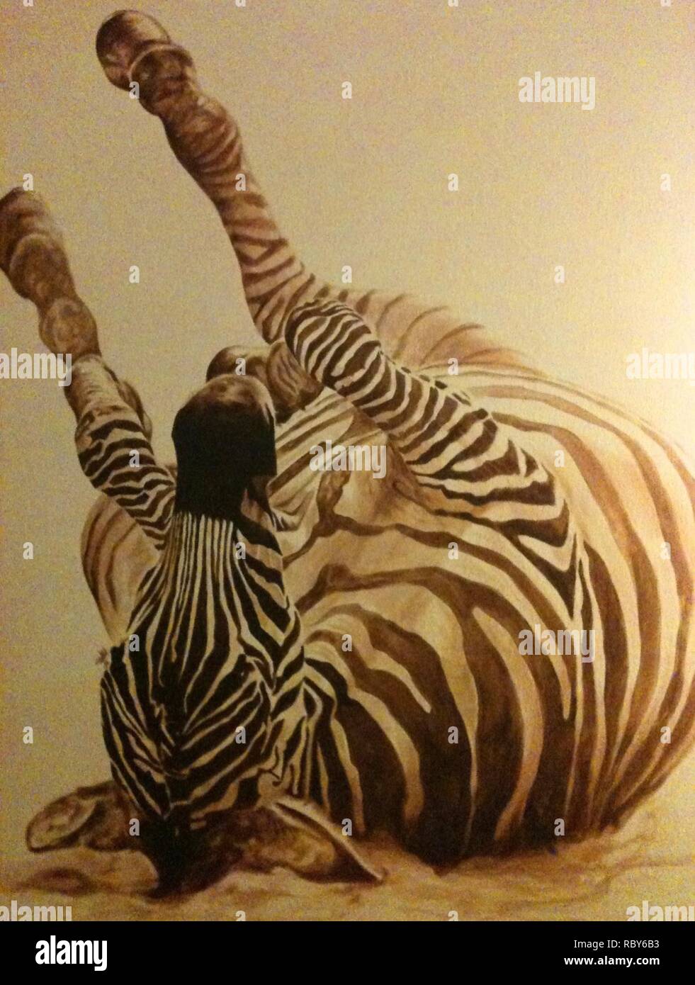 Adam Marian Pete - Zebra Feliz Stock Photo - Alamy