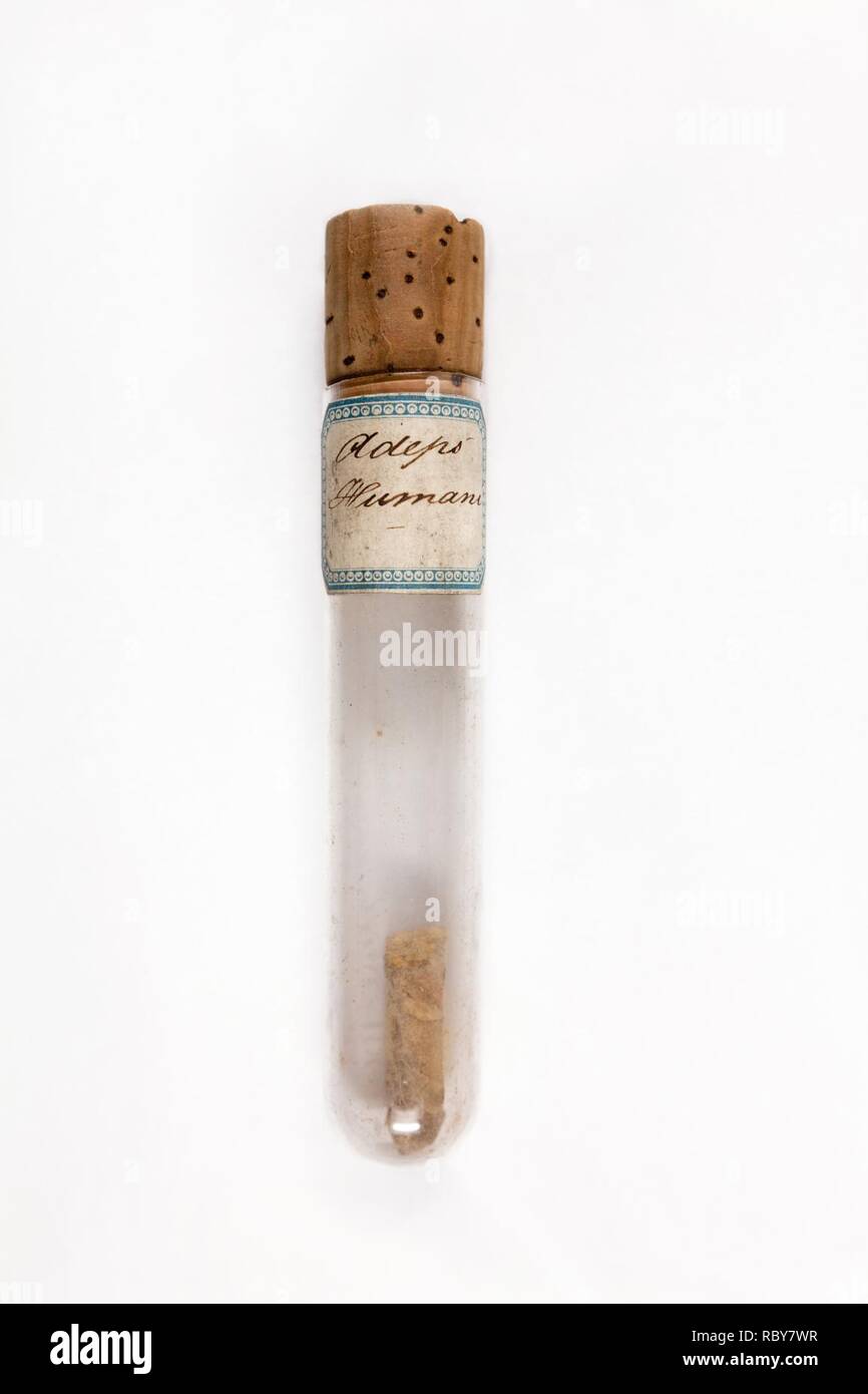 Adeps hi-res stock photography and images - Alamy