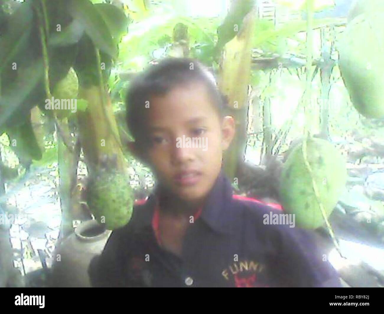 Kurniawan hi-res stock photography and images - Alamy