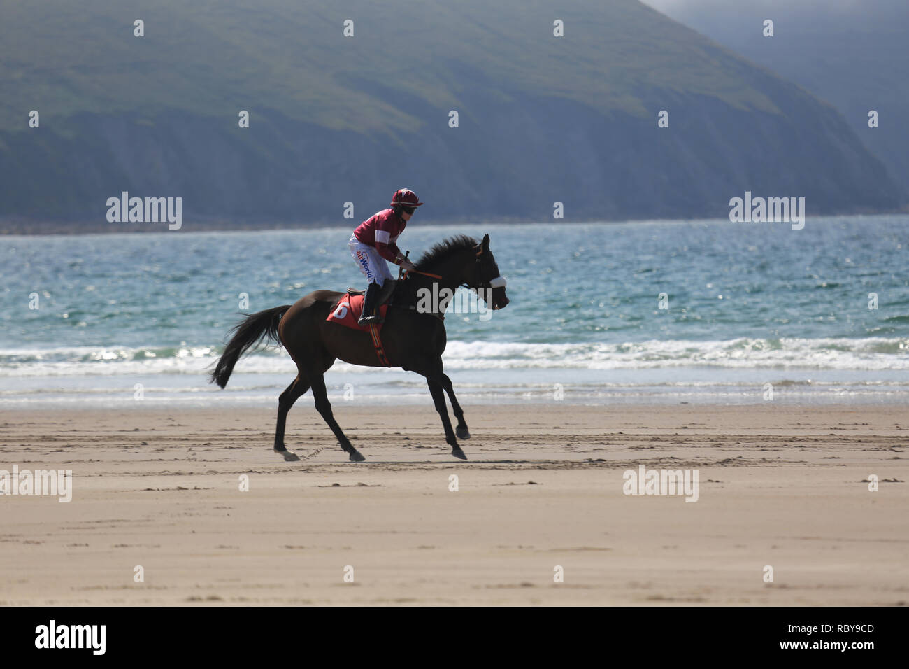 Ireland horse horses wild atlantic way hi-res stock photography and ...