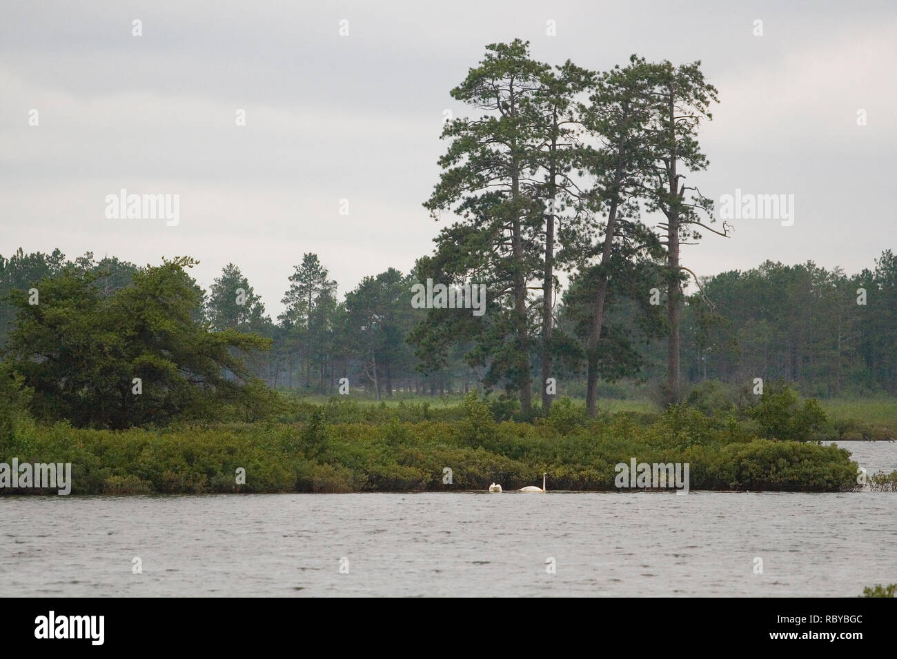 Seney National Wildlife Refuge, Michigan Stock Photo - Alamy