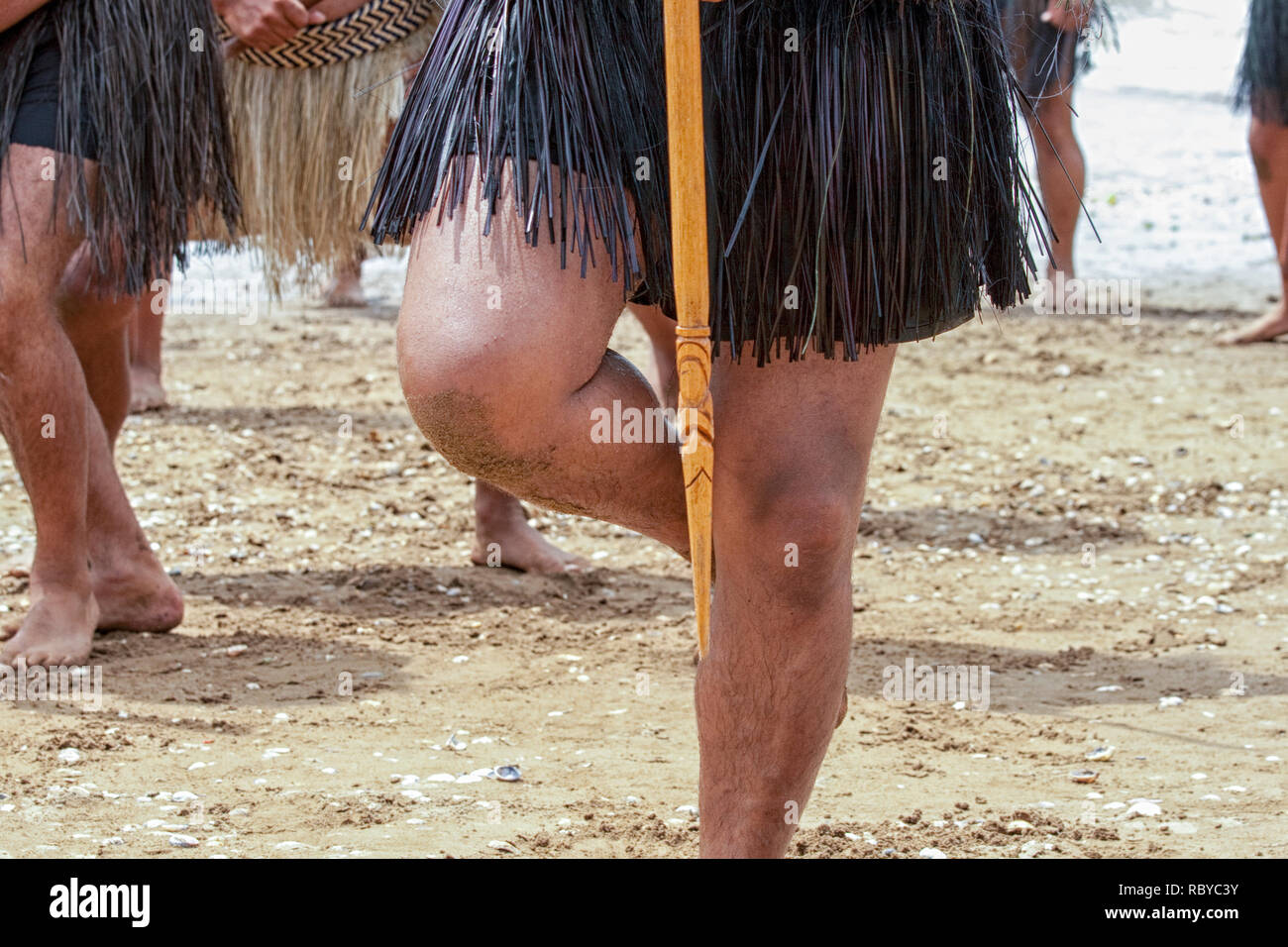 Maori warrior standing on one leg at a Haka (warrior dance) in New ...