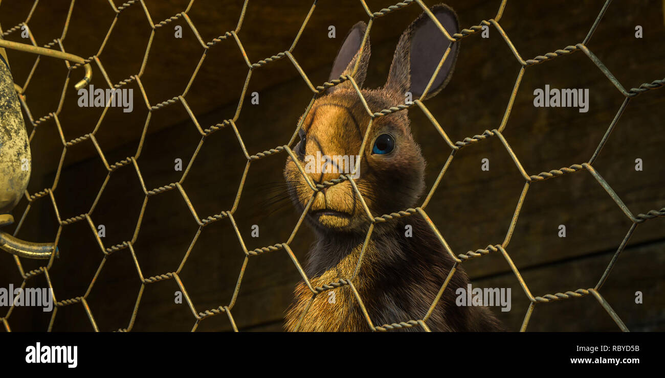 Watership down movie hi-res stock photography and images - Alamy