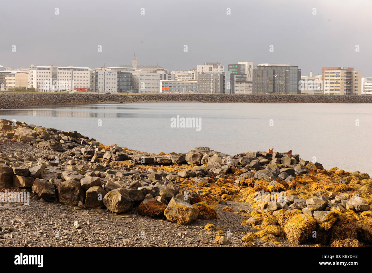 The green rush of Iceland Stock Photo - Alamy