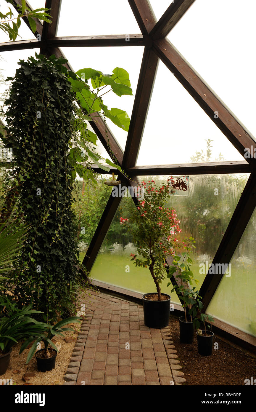 The green rush of Iceland Stock Photo - Alamy