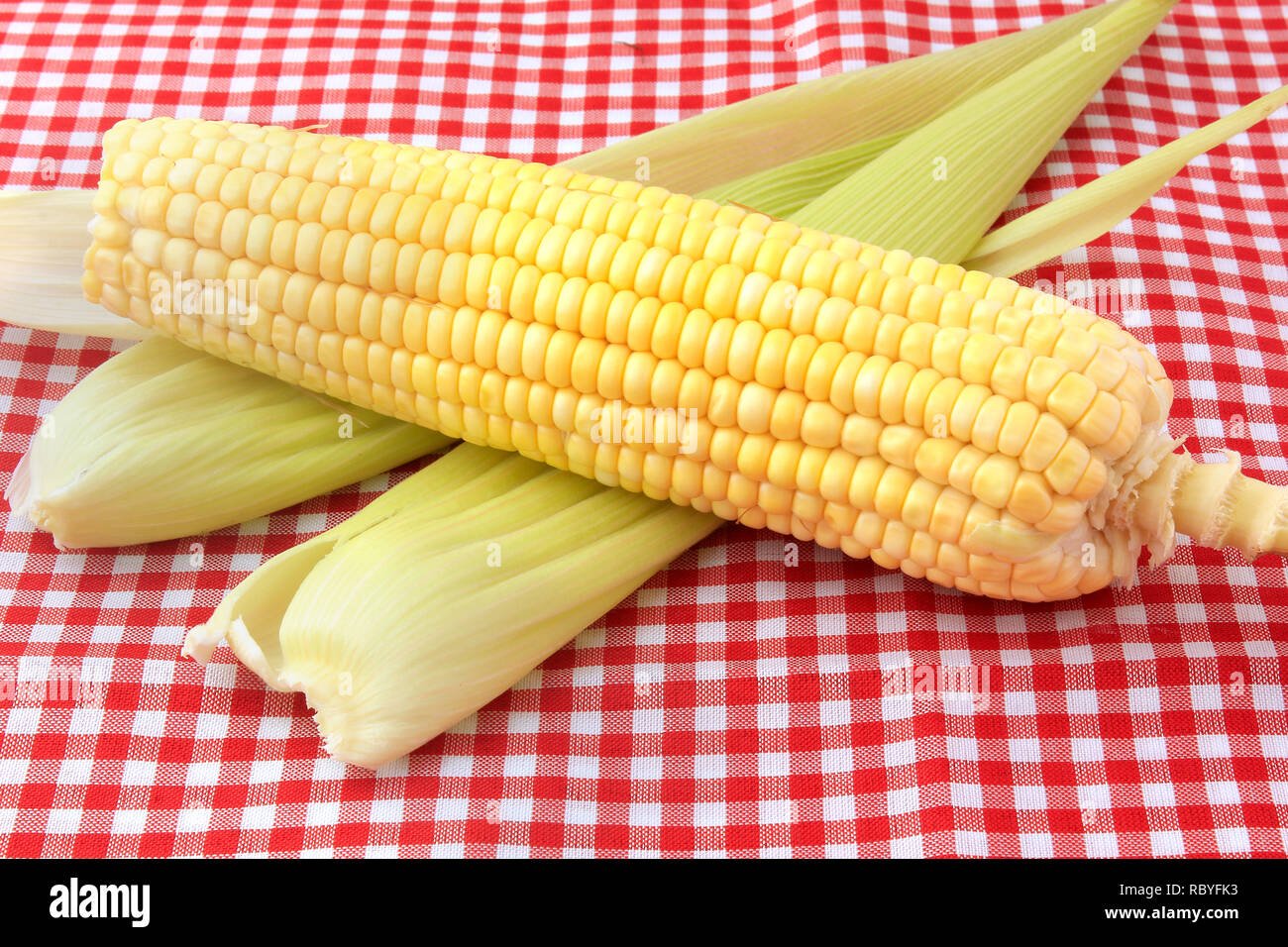 raw and fresh corn on the cob isolated on checkered fabric. Copy Space ...