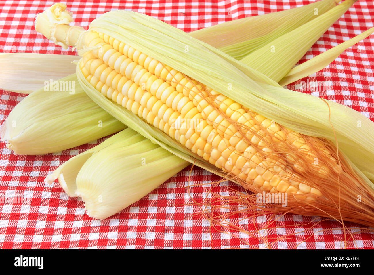 raw and fresh corn on the cob isolated on checkered fabric. Copy Space ...